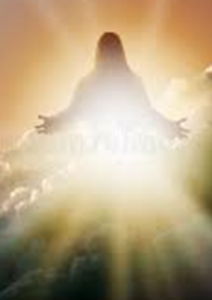 Towards the Cross | Bible Transforms